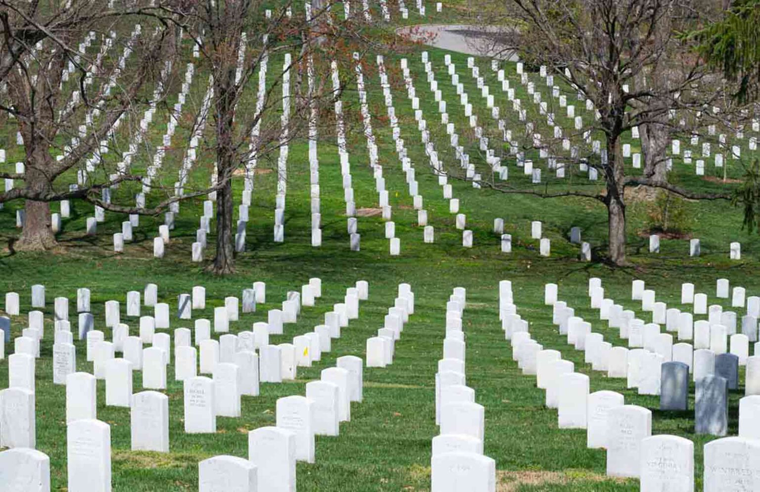 What Is the Meaning Behind Memorial Day?