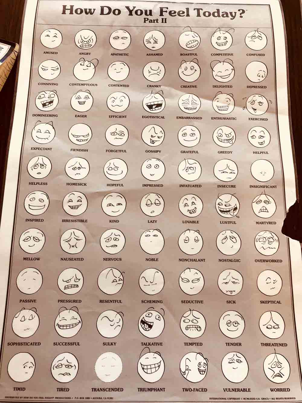 How to Feel Your Emotions in a Healthy Way With Dr. Zoe Shaw – 075 ...