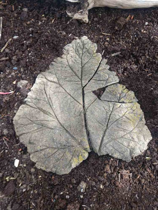 Bring Your Memories to Life With This Special DIY Stone | Grit and ...