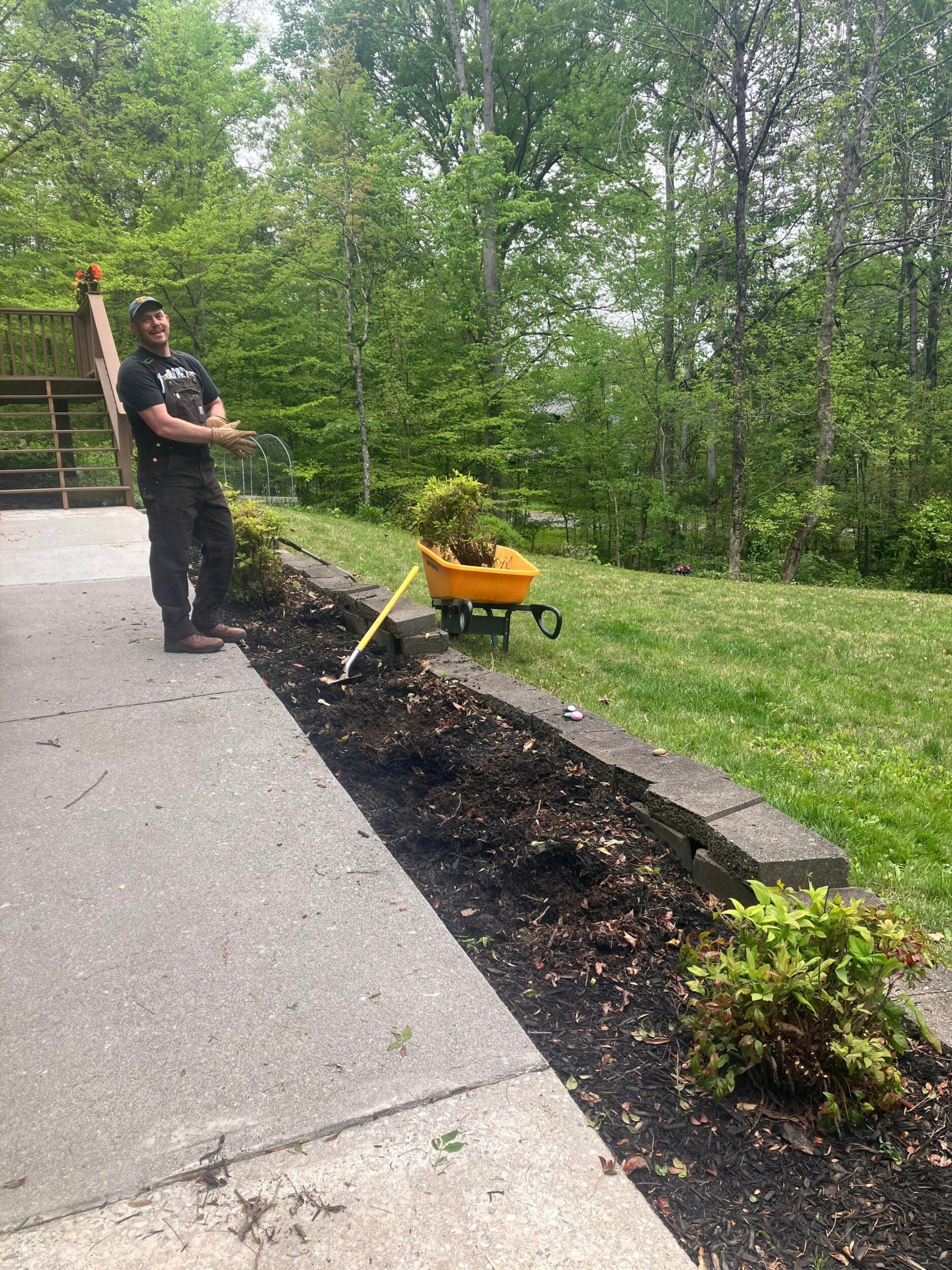 Pulling Out Trauma by the Roots | Grit and Grace Life